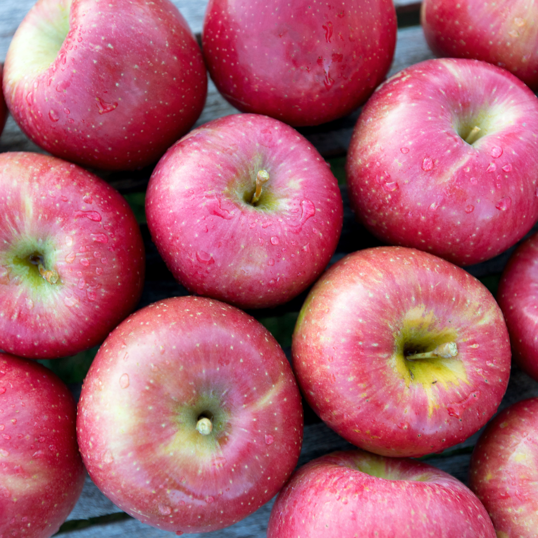 EverCrisp® | Applewood Fresh Growers LLC